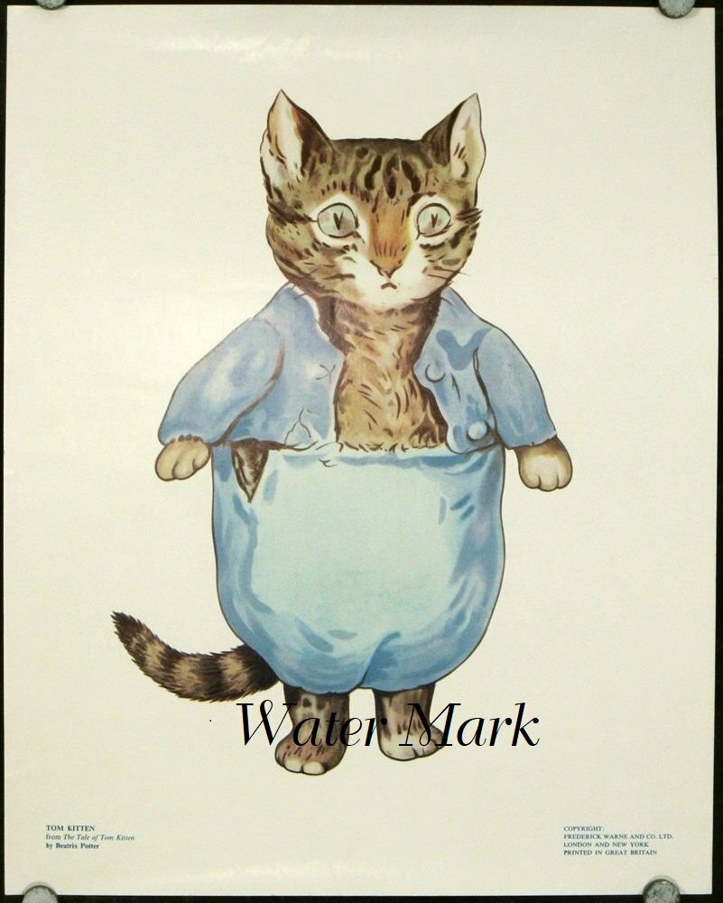 Beatrix Potter Kitten