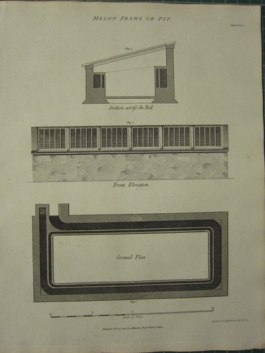 1805 DATED HORTICULTURAL PRINT ~ MELON FRAME PIT SECTION FRONT ...
