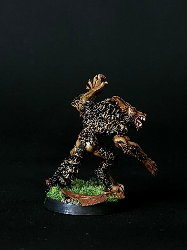 Painted Werewolf Reaper Miniature Dungeons & Dragons | eBay