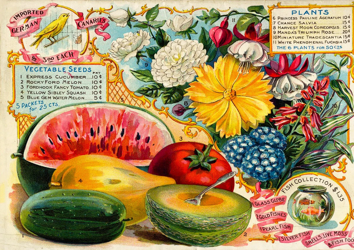 Vintage Vegetable Posters
