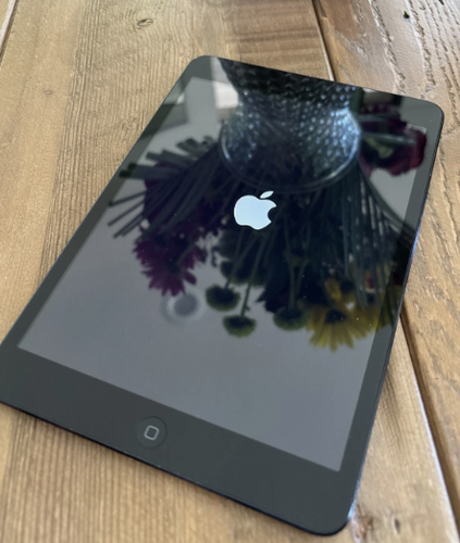 Apple iPad mini (1st gen) A1432, Wi-Fi 7.9 in - Black/Slate | eBay