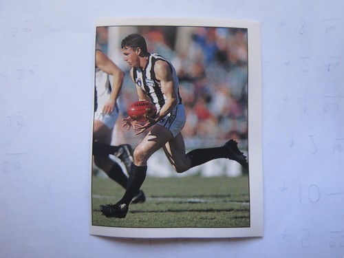 FOOTBALL 95 BEND & PEEL STICKER JON HASSALL COLLINGWOOD 1995 EXCELLENT ...