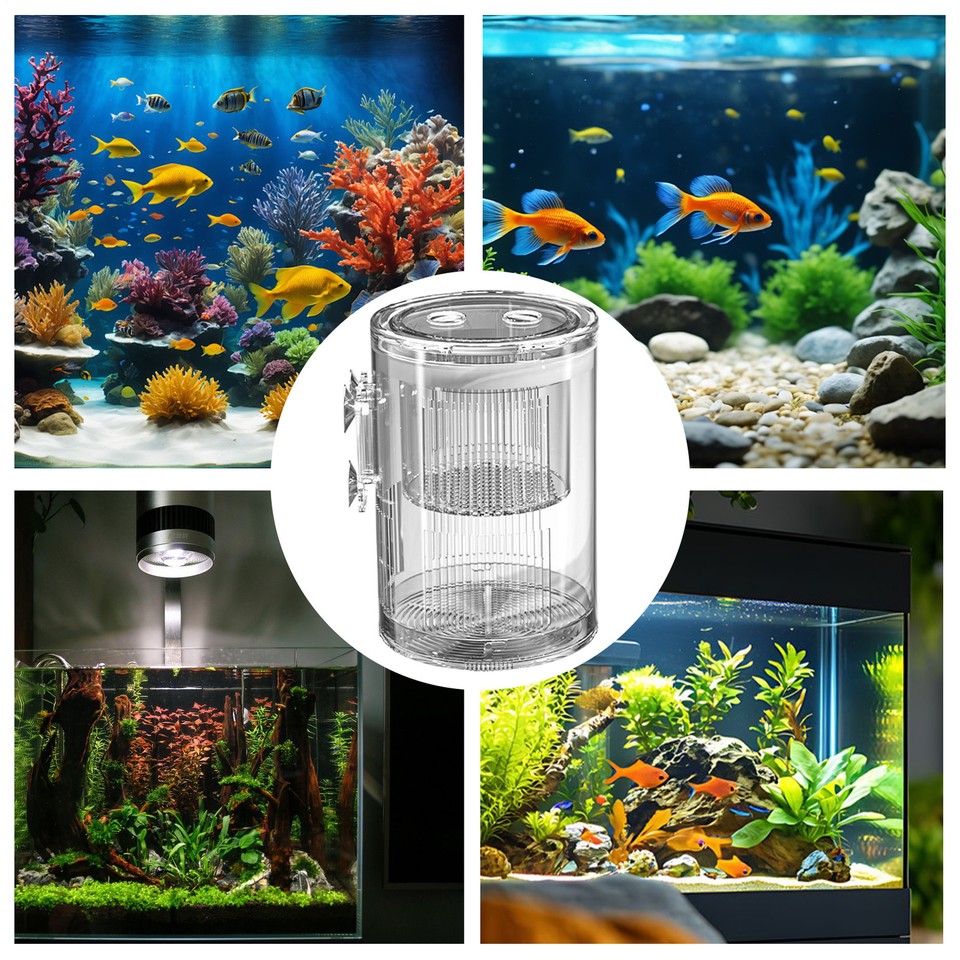 Fish Breeding Box Suction Cup Aquarium Breeding Box, Breeder Box for ...