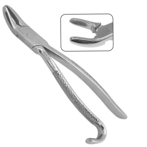 11" Wolf Tooth Extraction Forceps Hand Crafted Stainless Steel Dental ...