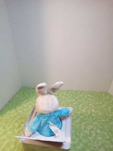 Beatrix Potter Peter Rabbit Jack-in-The-Box Toy 2021 Nursery Baby Gift ...