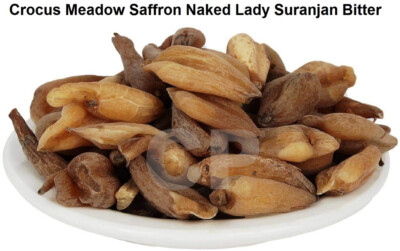 Colchicum Luteum Autumn Crocus Meadow Lady Suranjan Bitter 100gm (3.5 ...