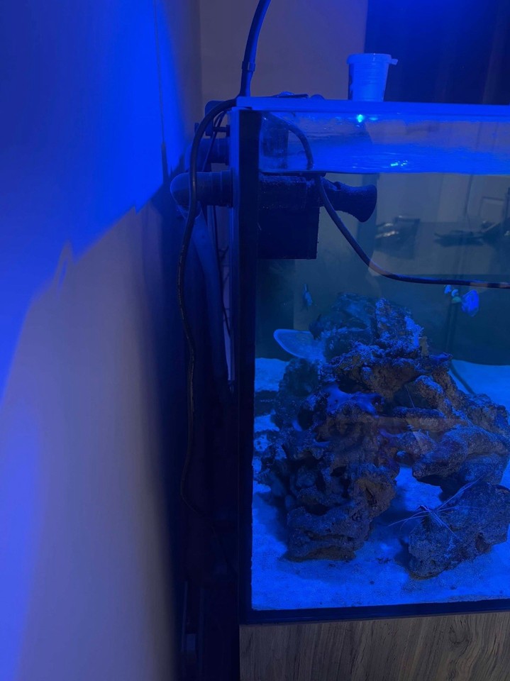 Boyu 200L Aquarium Fish Tank with Stand Empty | eBay UK