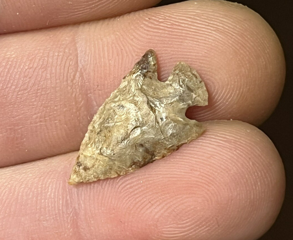 EXCEPTIONAL EASTGATE POINT OREGON AUTHENTIC ARROWHEAD INDIAN ARTIFACT ...