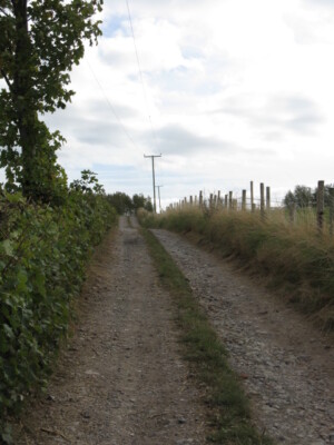 Photo 6x4 Farm Access Track, Witley Court Structon's Heath c2009 | eBay UK