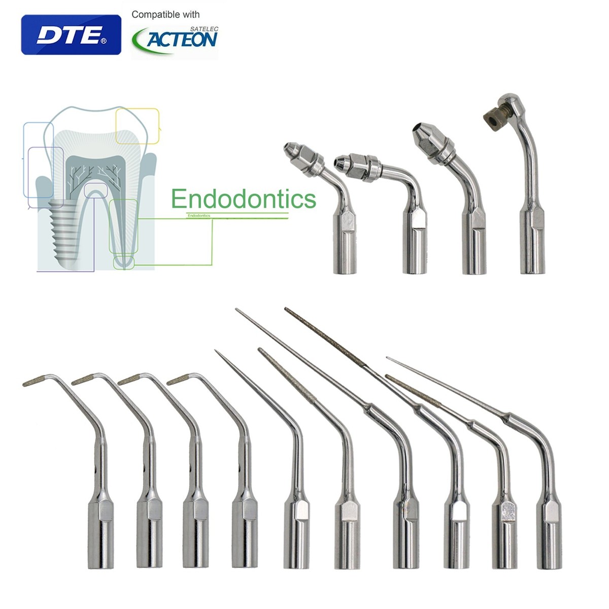 Woodpecker Dental Tip Dental Ultrasonic Scaler Tip - Compatible With ...