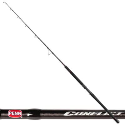 PENN Big Game Fishing Spinning Rod CONFLICT Tuna Broume 1.83m/100lb | eBay