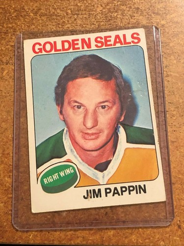 1975-76 Topps Hockey # 234 Jim Pappin | eBay