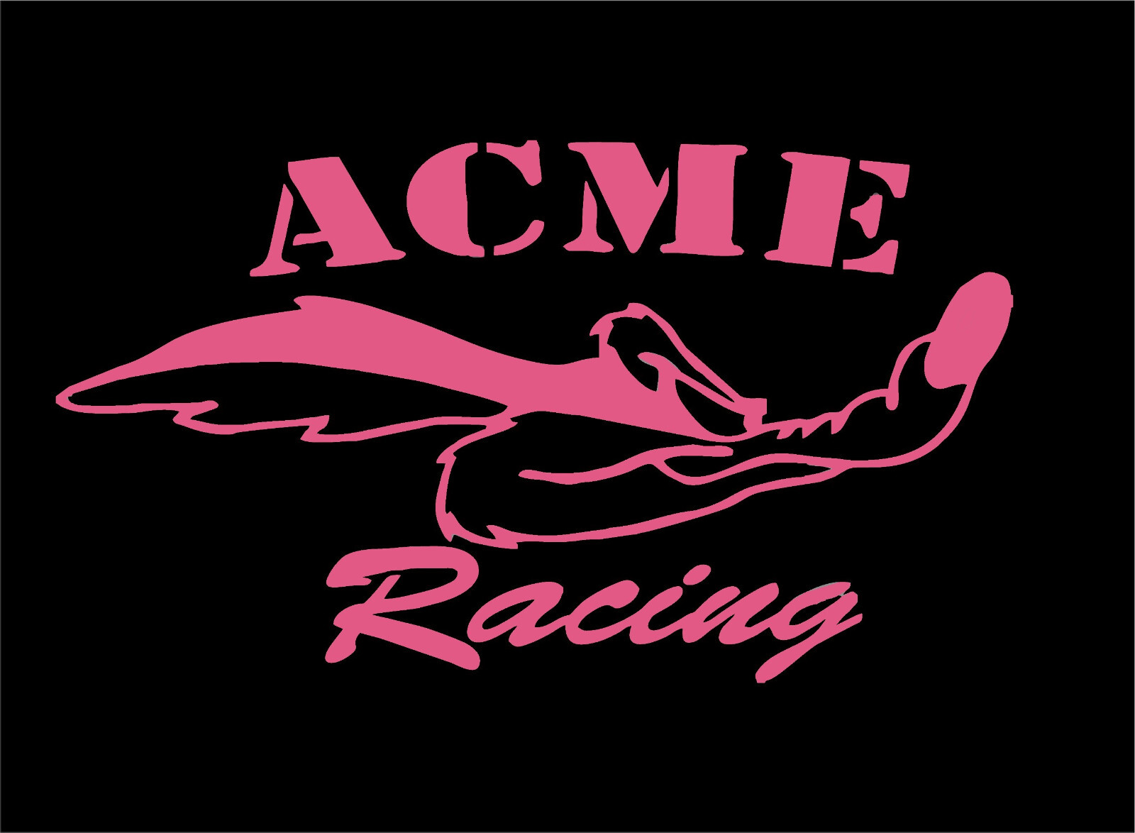 Wile E. Coyote ACME Racing -HOT ROD-VINYL WINDOW CAR DECALS -ALL SIZES ...
