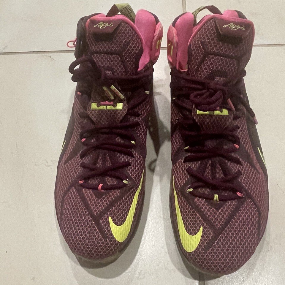 Nike LeBron 12 Double Helix Burgundy Basketball Shoes 684593-607 Mens ...