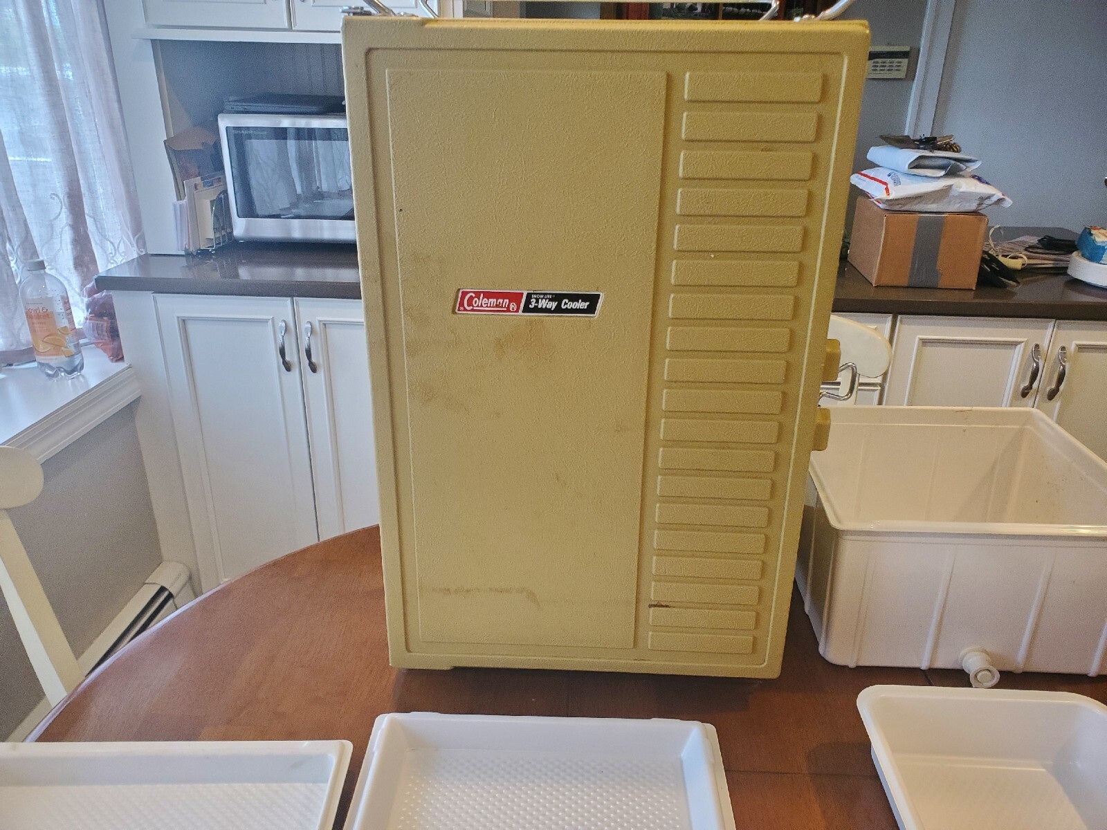 Nice!! Vtg 1977 COLEMAN "3 Way Convertible Cooler" STAND UP FRIDGE ...
