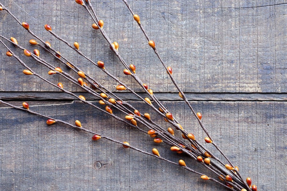 Pip Berry Picks Set/2 Burnt Mustard Artificial Florals Primitive Decor ...