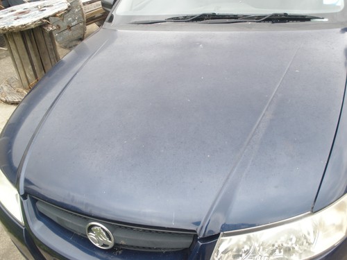 VZ COMMODORE BONNET PAINT CODE 718H "PICK UP ONLY" | eBay Australia