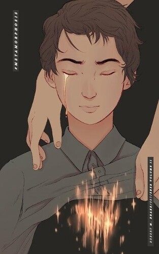 Robert M Drake Metamorphosis (Poche) Something Broken Something Beautiful 9798698302896 | eBay