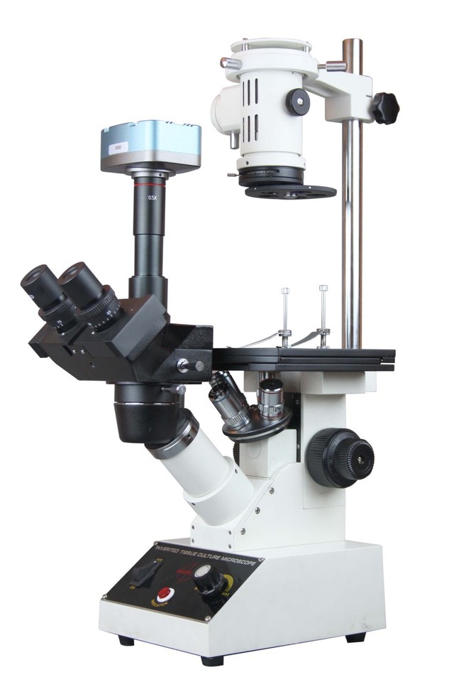 Inverted Tissue Culture Medical Live Cell Clinical Microscope w 3Mp USB Camera | eBay