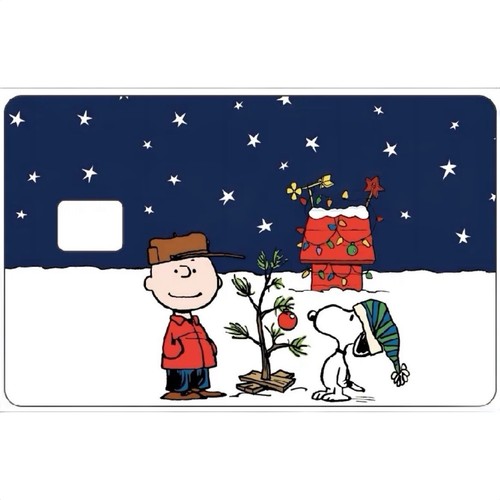 Christmas Peanuts Snoopy & Charlie Brown Winter Credit Card Cover | eBay