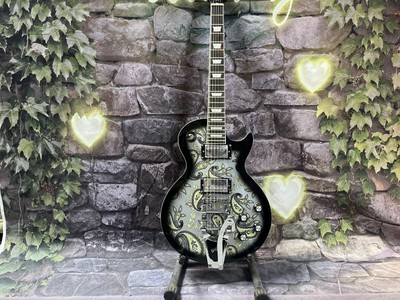 Standard Paisley Jazz Electric guitar HH Pick up Chromium plated ...