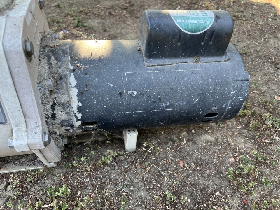 Purex Triton Whisperflo High Performance Pump | eBay