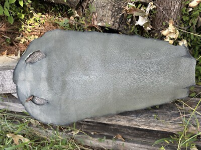 Sanded Stingray Skin | eBay