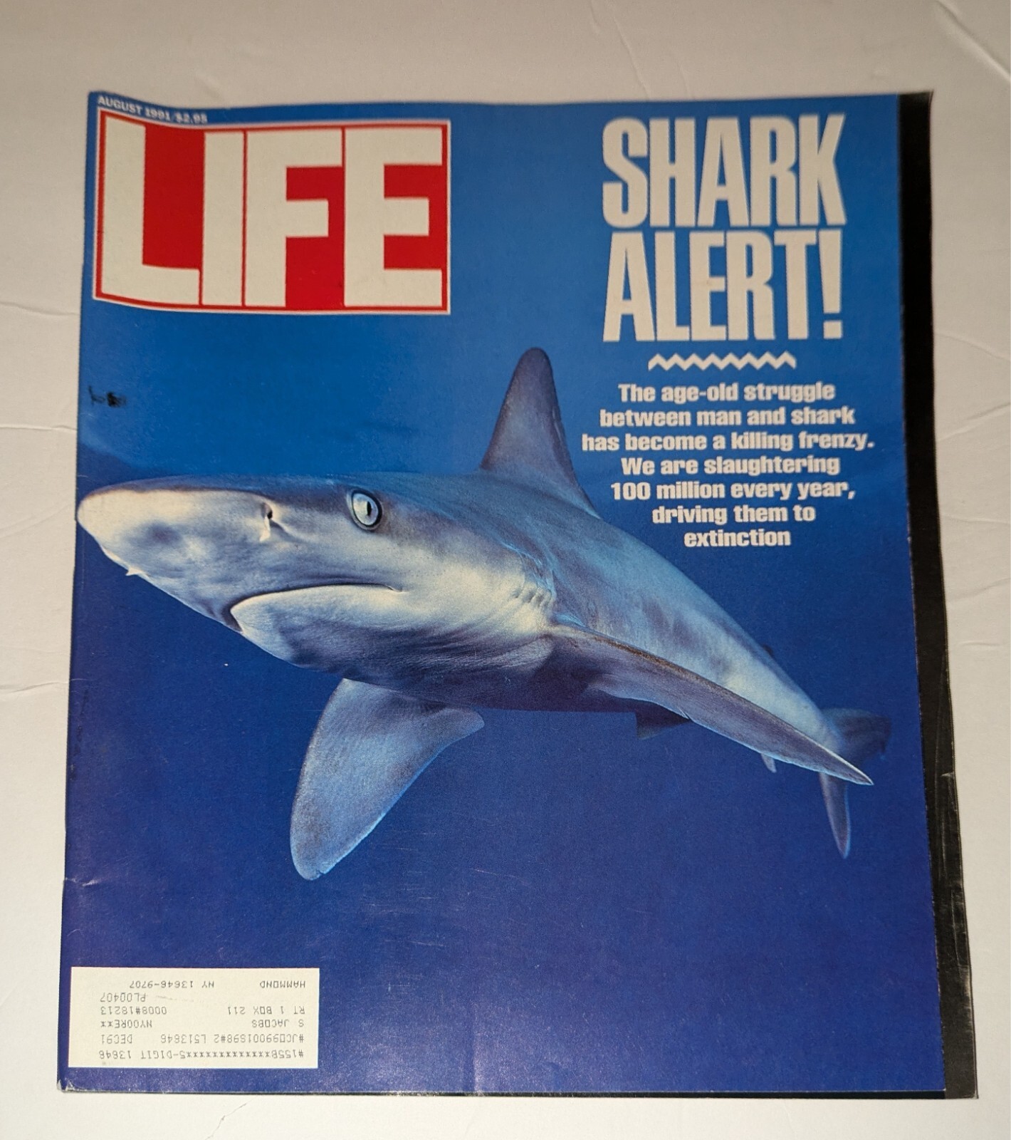 LIFE MAGAZINE, AUGUST, 1991, SHARK ALERT, HUNTING SHARKS TO EXTINCTION ...