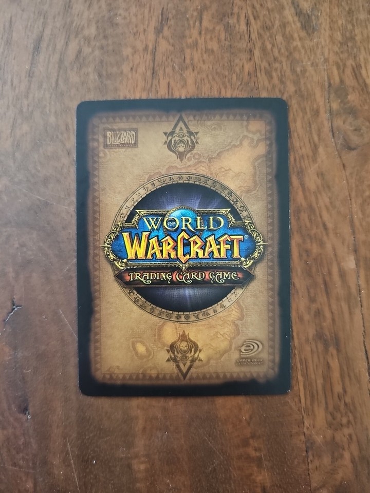 WOW WORLD OF WARCRAFT TCG SPECTRAL KITTEN Tiger Cub Pet LOOT CARD- CODE ...