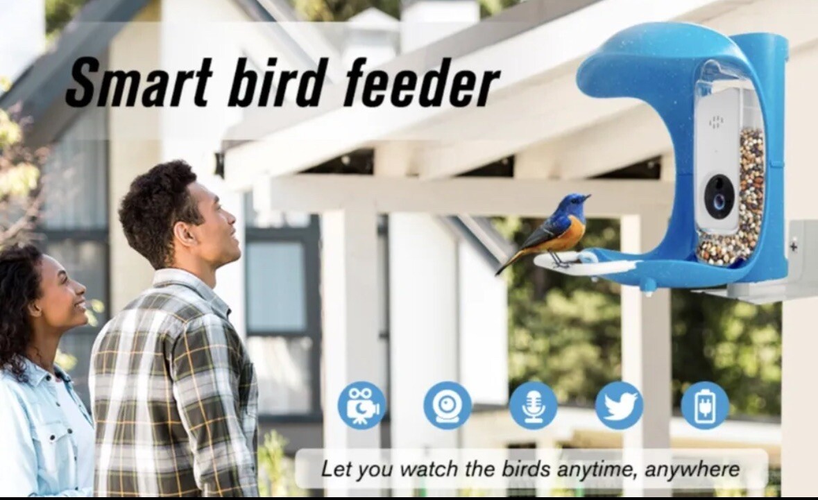 BirdDock Smart Bird Feeder 1296P Camera Wifi App Control AI Recognition ...