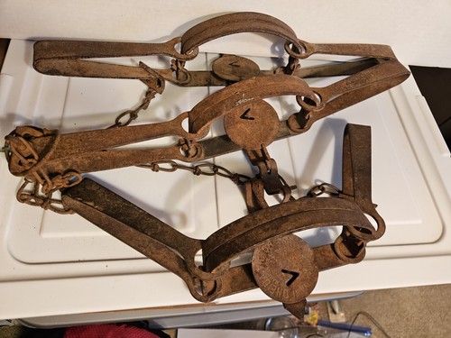 lot of 3 VINTAGE ONEIDA VICTOR #4 19" DOUBLE LONG SPRING ANIMAL TRAP ...