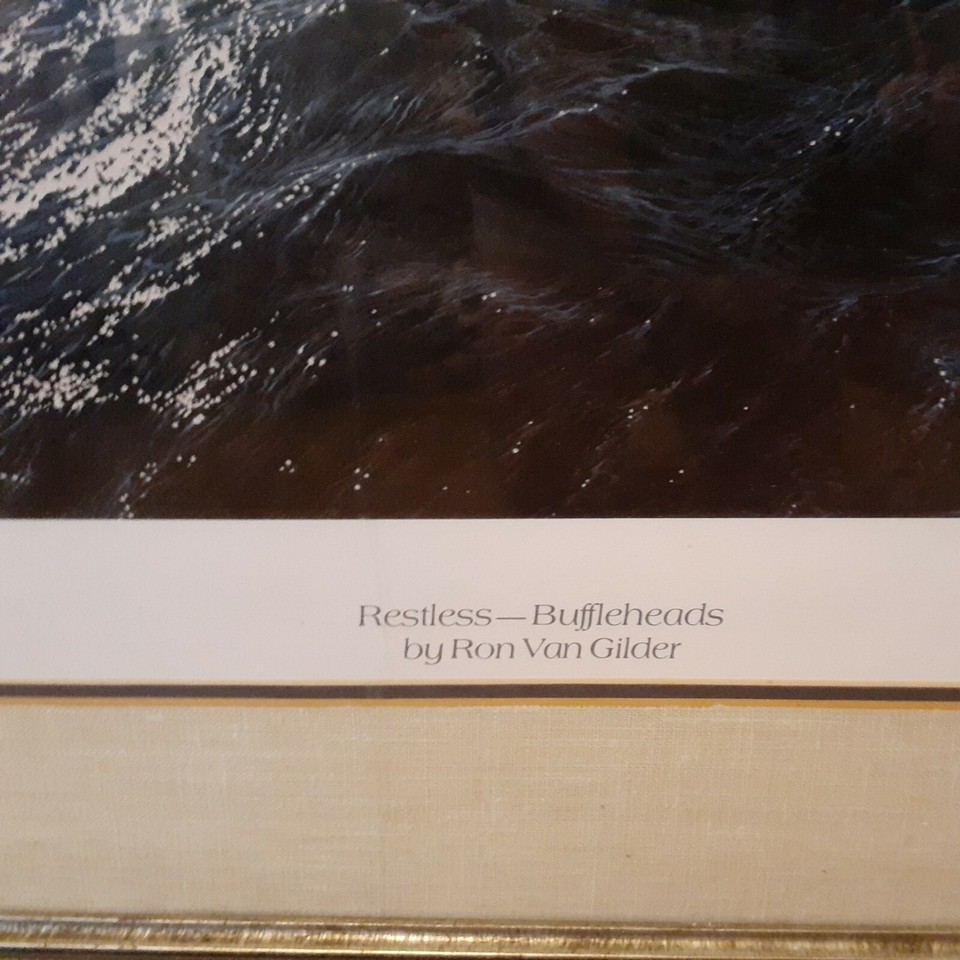 Ron Van Gilder " Restless Buffleheads" S/N LE Print 348/500 $400 Wood ...
