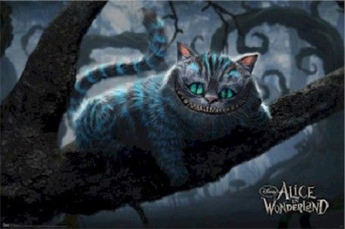 Disney Alice In Wonderland Cat