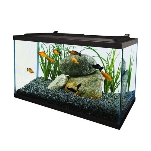 Tetra Aquarium, 10 Gallon, Complete Tropical Fish Tank Kit with LED ...