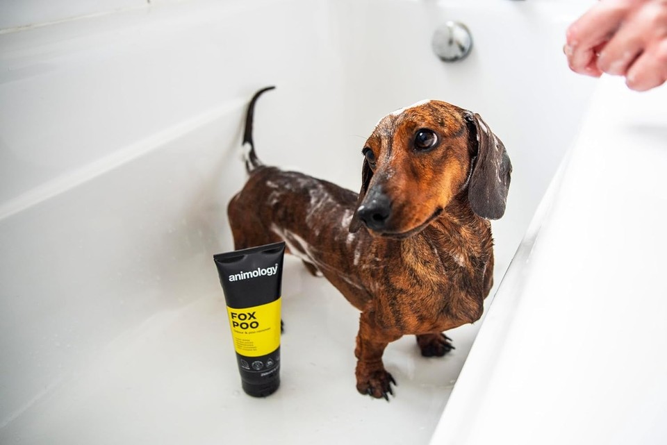 Allergen-Free Fox Poo Dog Shampoo 500ml - Deep Cleaning & Easy Rinse ...