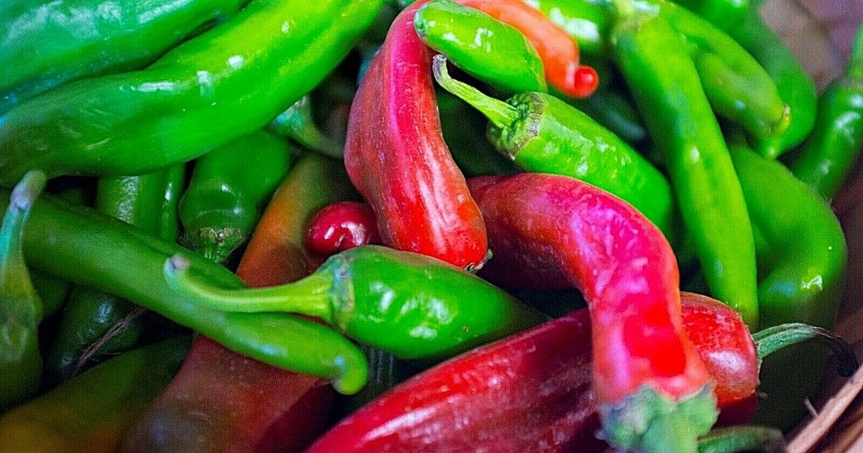 more #2 ASSORTED CHILI PEPPER SEEDS 25 varieties you choose hot mild ...