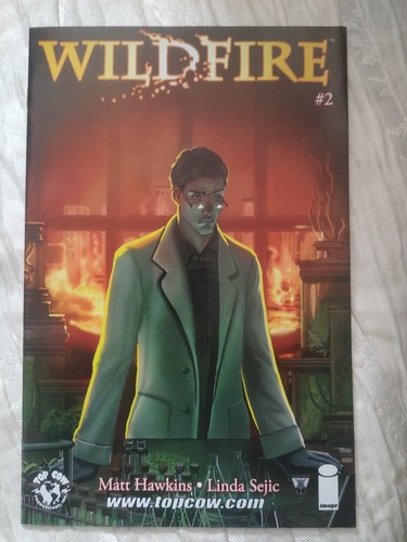 Cb40~comic book~rare wildfire issue #2 top cow productions | eBay