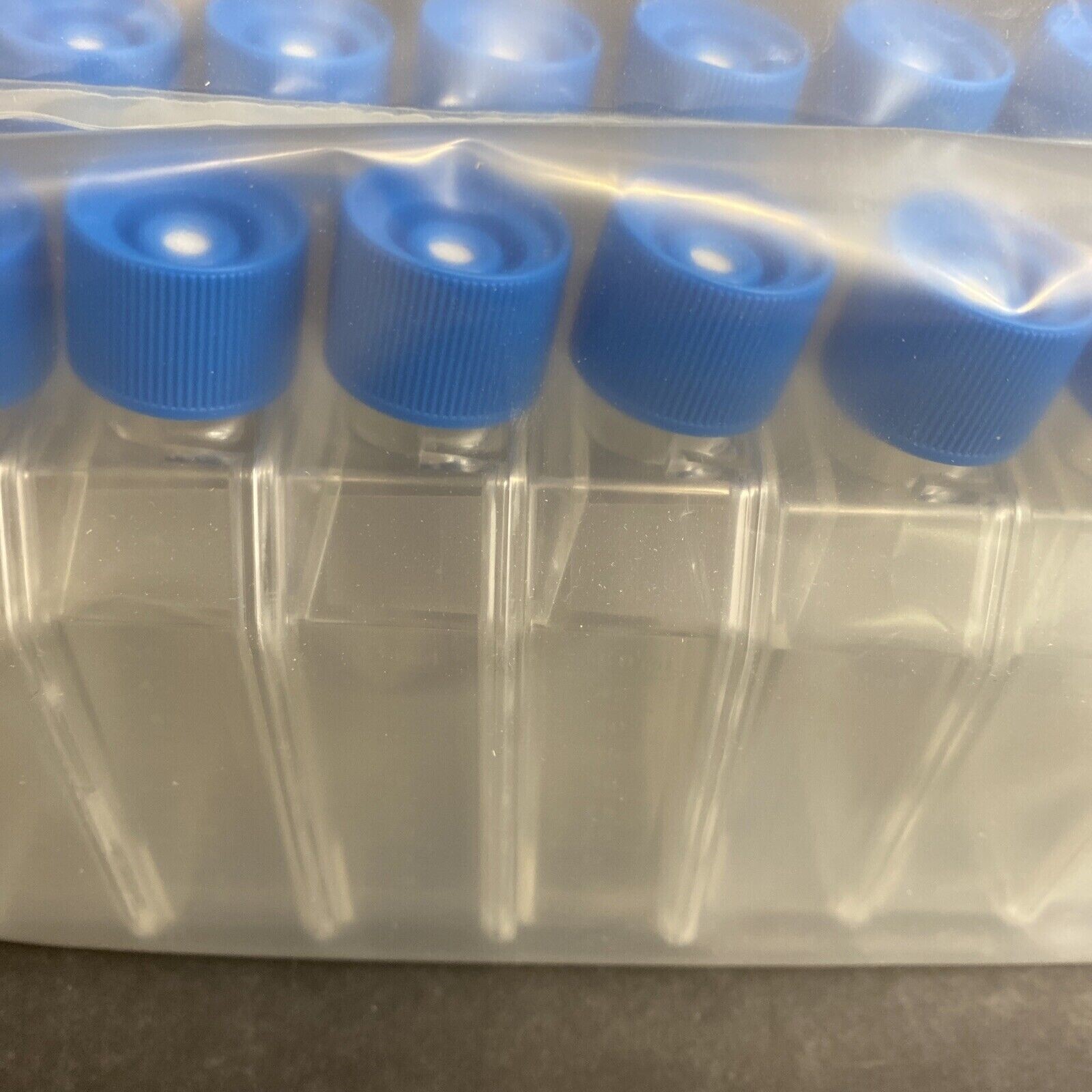 Falcon 353108 Canted Neck Tissue Culture Flask 25cm2 Vented Cap 100 Ct ...