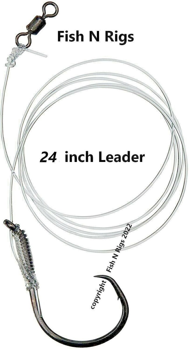 Freshwater Fishing Rigs