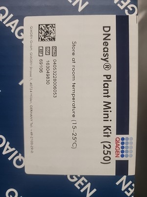 QIAGEN DNeasy Plant Mini Kit (250) Cat No. 69106 (est. 2016 sealed) | eBay
