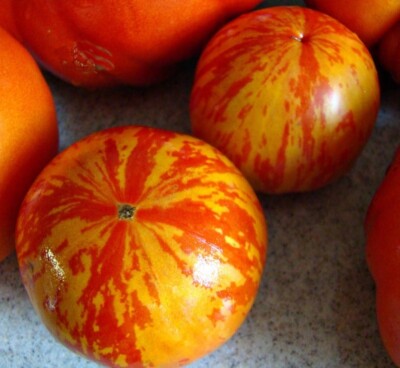 20 Zebra Cherry Tomato Seeds | eBay