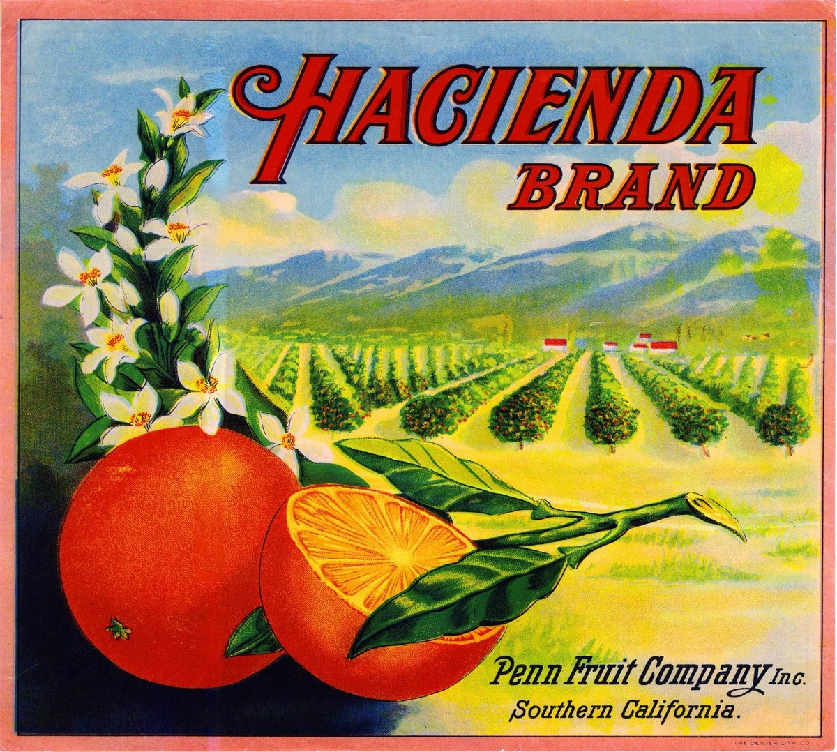 Citrus Fruit Crate Labels