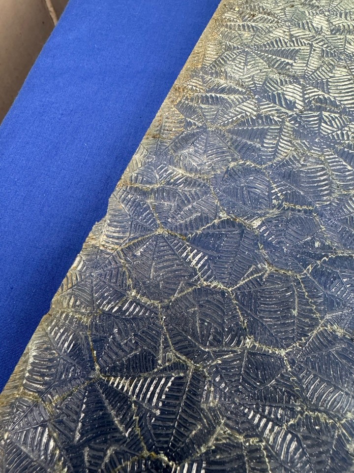 C.1920 Florentine Glass Window Pane w/ Chicken Wire, PRIVACY! 28.75" x ...