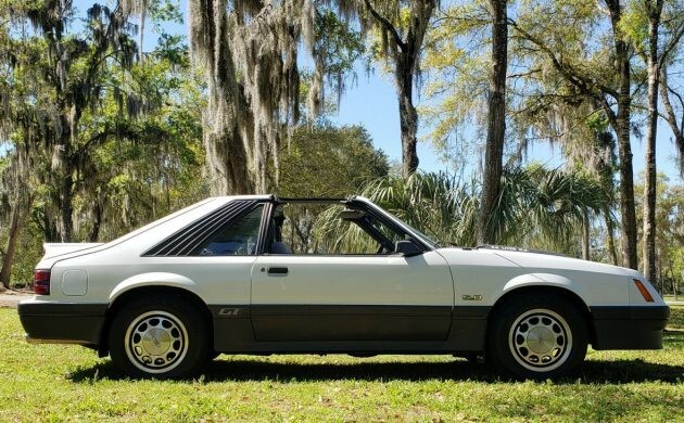 79-93 FORD MUSTANG REAR WINDOW MOLDING CLIP KIT HATCH CHRISTMAS WINTER ...