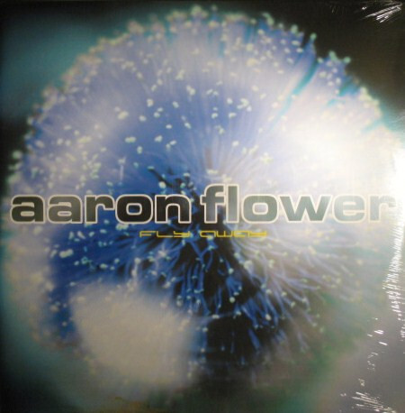 Aaron Flower Fly Away - Maxi 45T | eBay