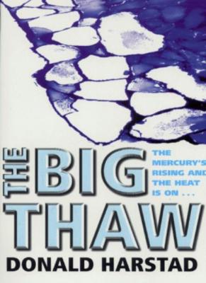The Big Thaw By Donald Harstad. 9781841153940 9781841153940| eBay