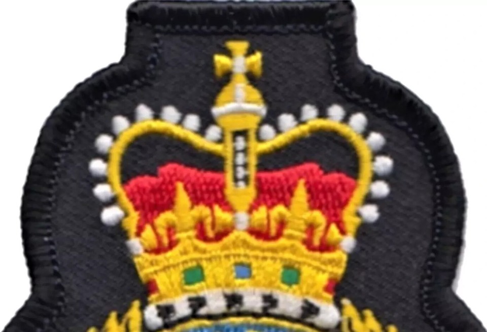 RAF Fire and Rescue Service RAF Embroidered Patch Badge - MOD LICENSED ...