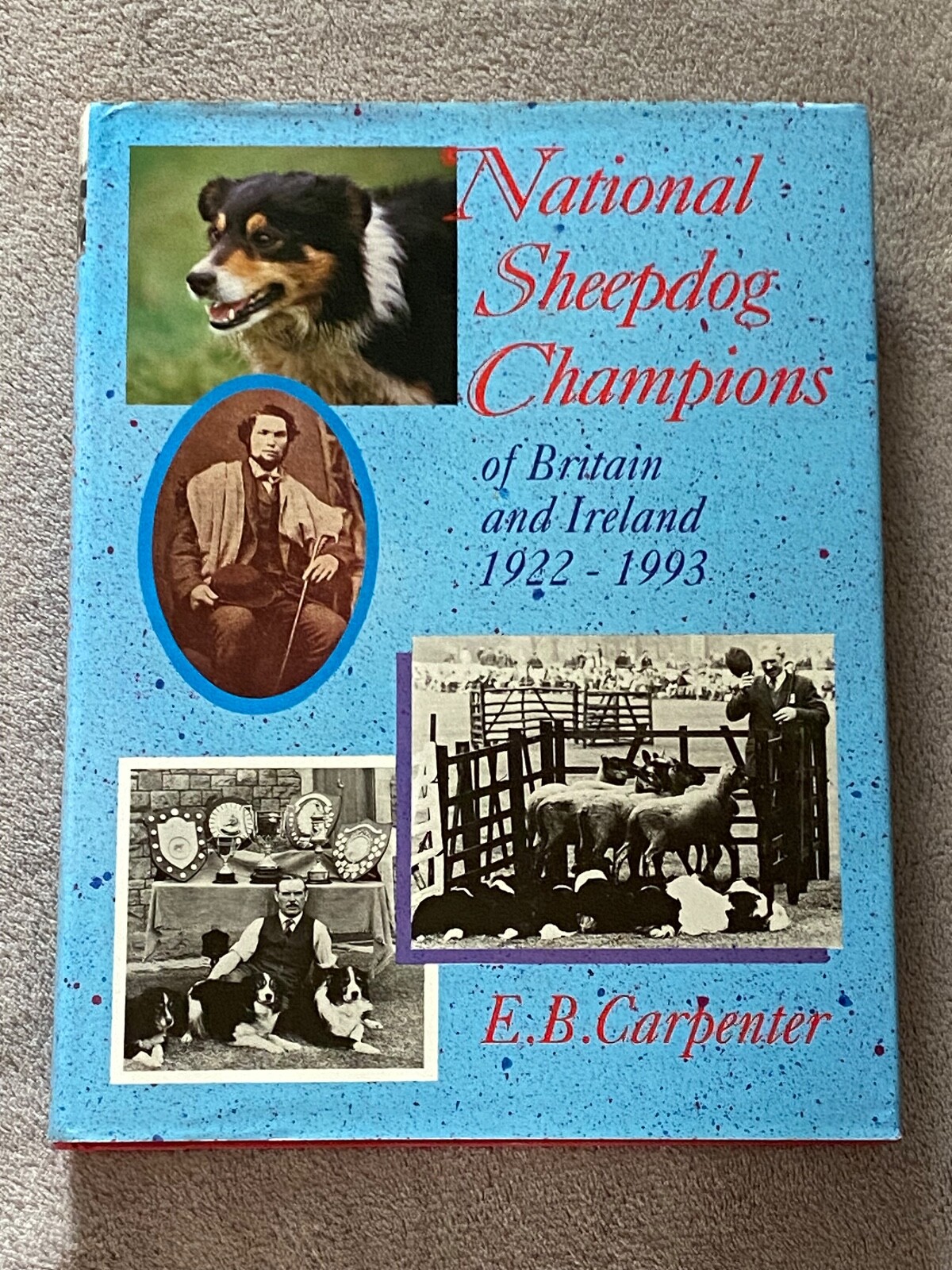 RARE BORDER COLLIE SHEEPDOG CHAMPIONS DOG BOOK 1922-1993 BY CARPENTER ...
