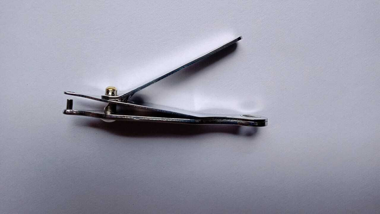 Mouse Ear Punch, Ear Punch Nail Cliper style,EarTag & Ear Tag ...