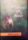 The Secret Life of Water - Hardcover, by Emoto Masaru - Good ...